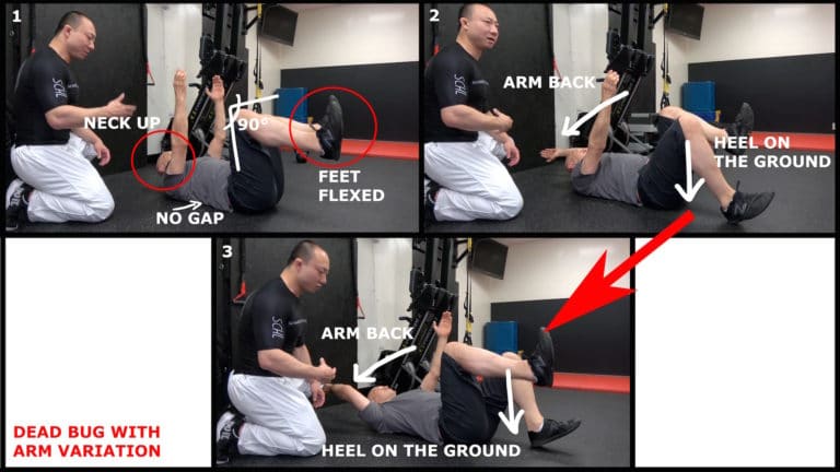 BJJ Strength Training, The Top 6 Exercises - Grapplearts